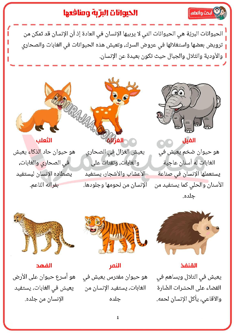 تحميل الحيوانات البرية و اماكن عيشها و منافعها 2022 - سنة ثانية ابتدائي ...